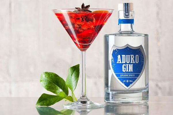 I 30 migliori gin artigianali italiani