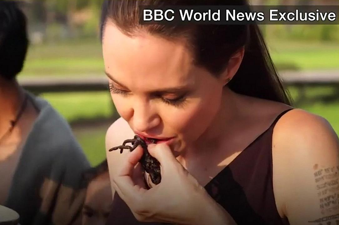 Angelina Jolie mangia ragni e insetti