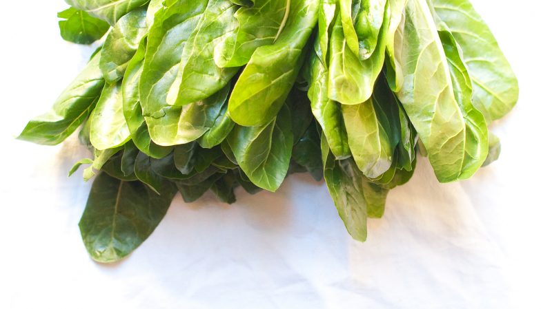 Bieta, come pulirla 12 modi per cucinarla