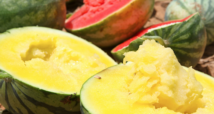 Cocomero: come si sceglie