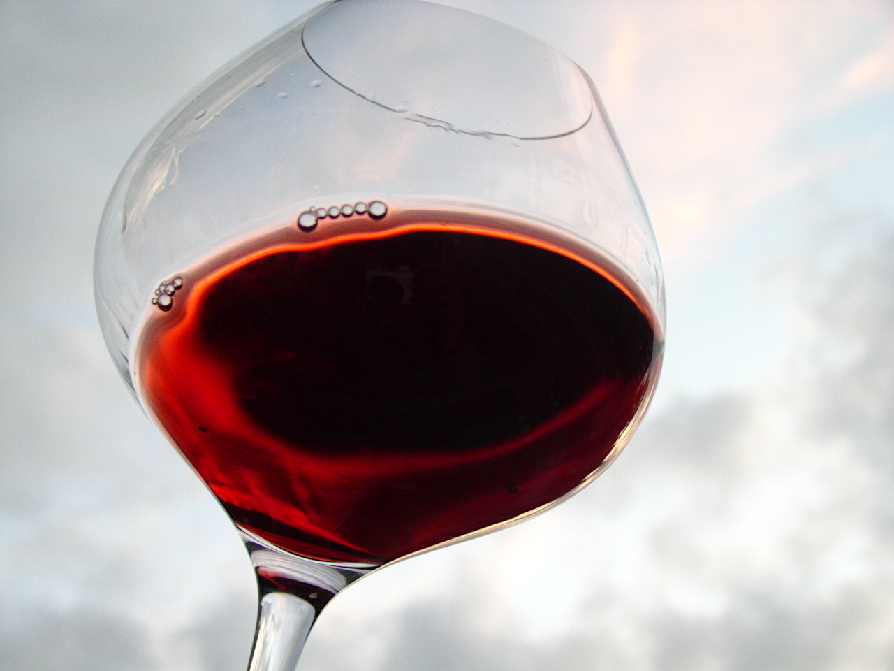 Pinot Nero: 5 etichette da comprare