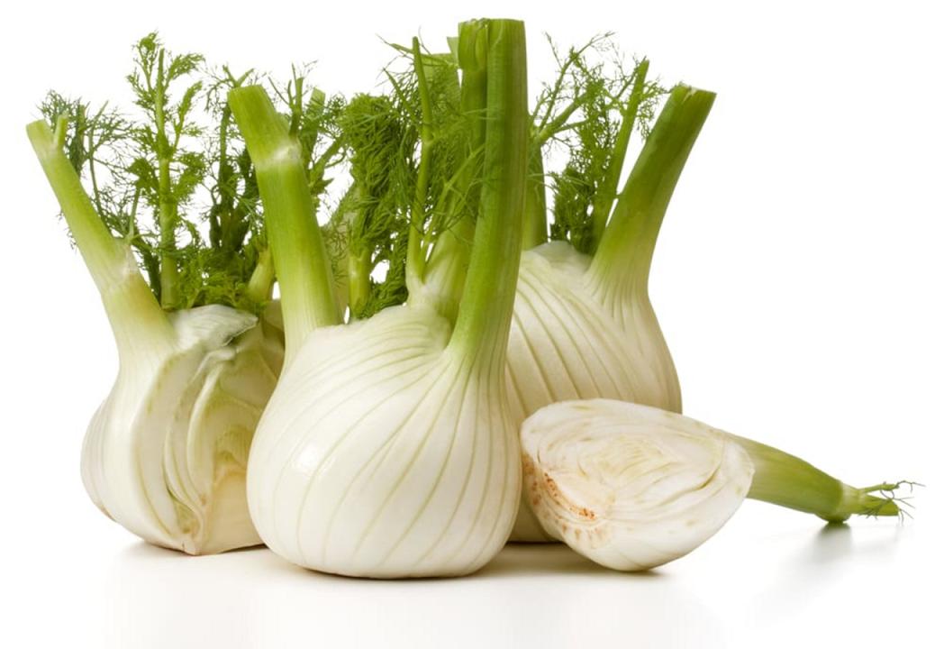 Finocchio, come sceglierlo