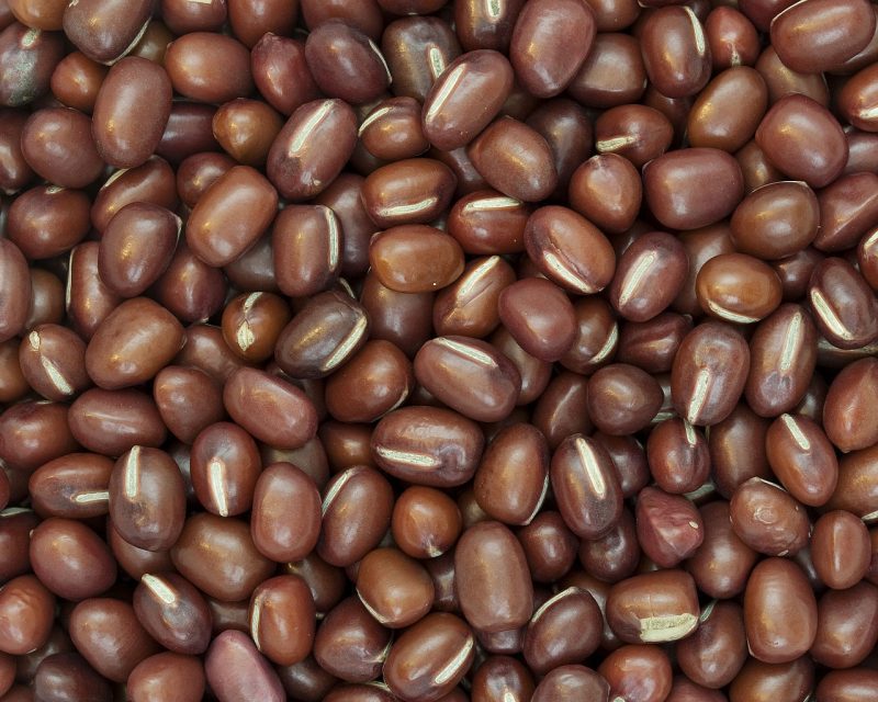 Fagioli: varietà e come riconoscerli