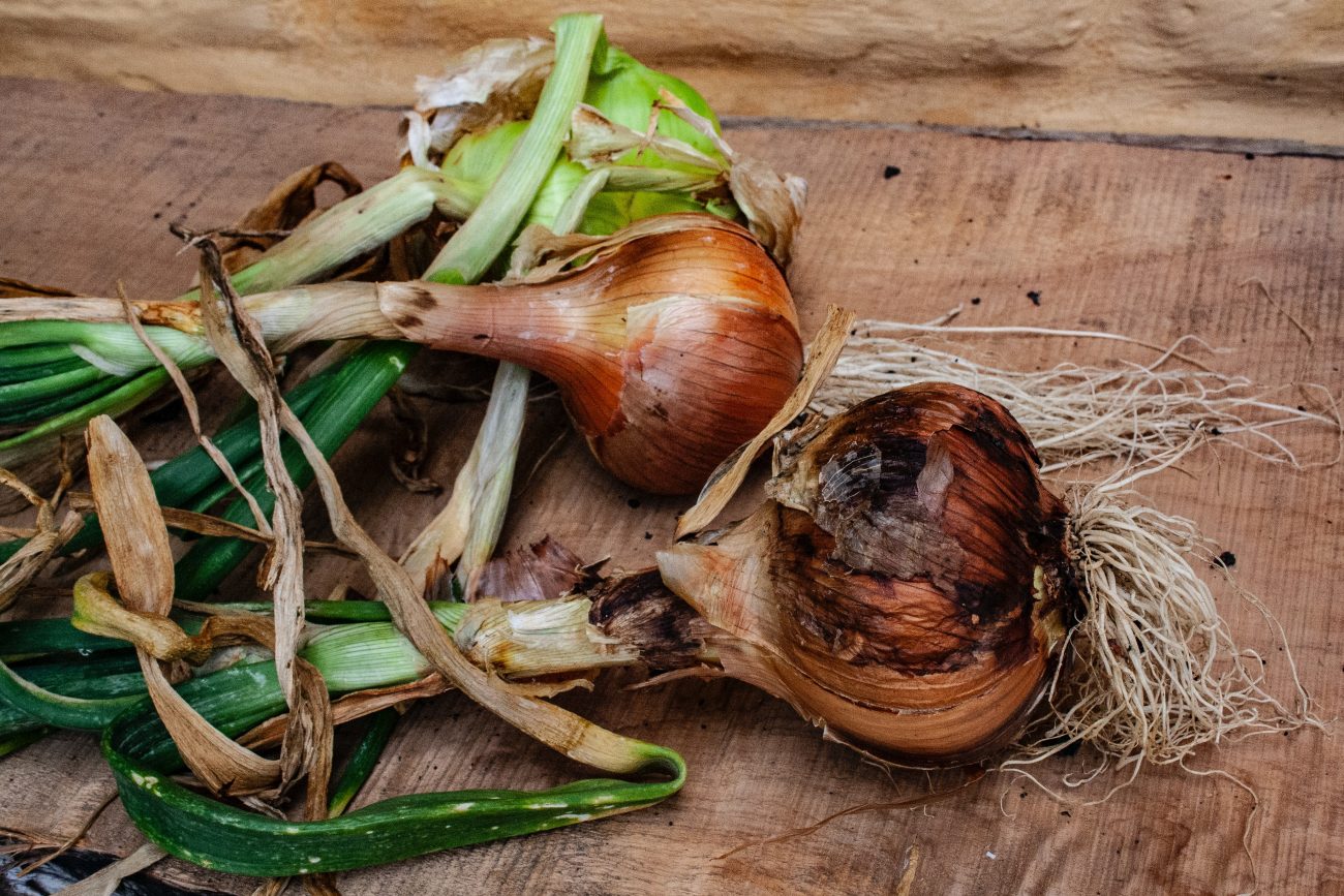 Tipi di cipolla, le 31 varietà italiane da conoscere