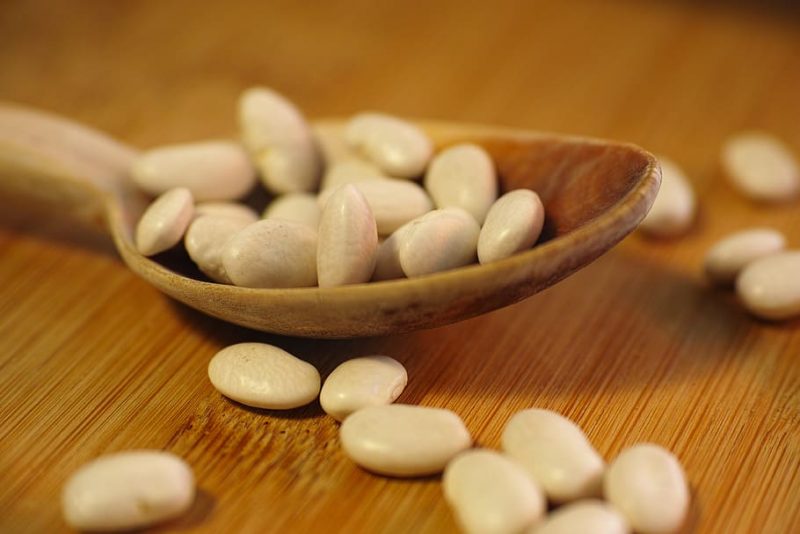 Fagioli: varietà e come riconoscerli