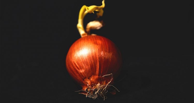 Tipi di cipolla, le 31 varietà italiane da conoscere