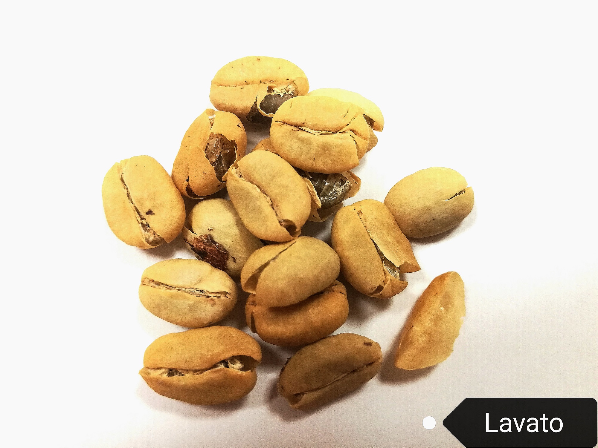 Caffè naturale o lavato: cosa significa