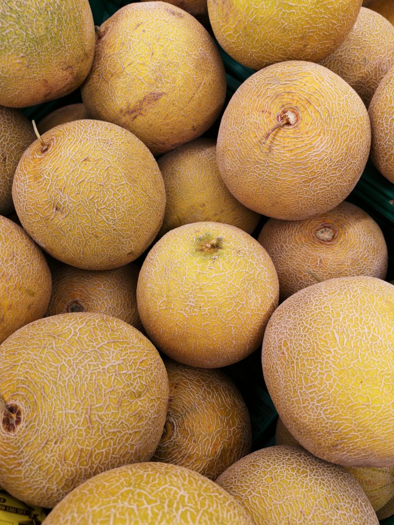 Varietà di melone: le 13 da riconoscere