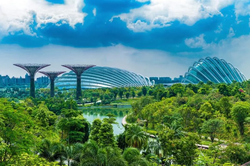 Città verdi: il piano della Fao per migliorare le condizioni di vita in ...