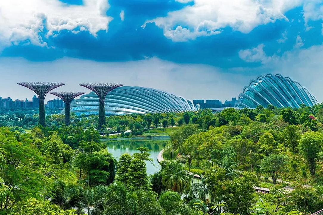 Città verdi: il piano della Fao per migliorare le condizioni di vita in ...