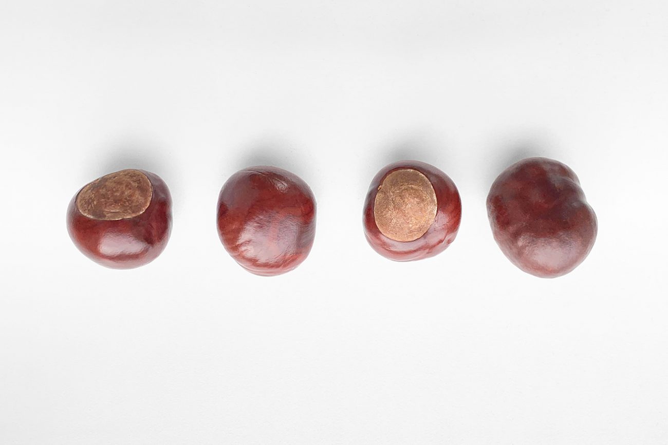Castagne e marroni: le differenze