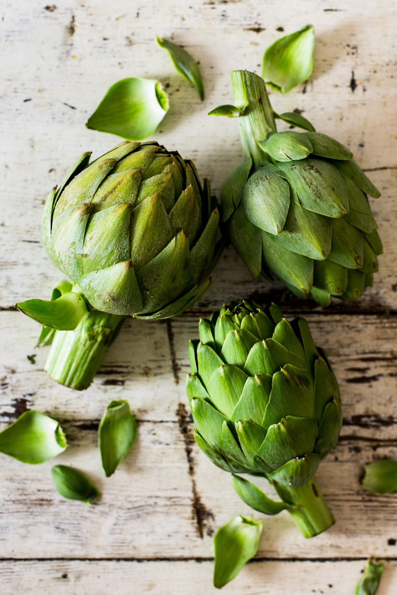 Carciofi, tutte le varietà