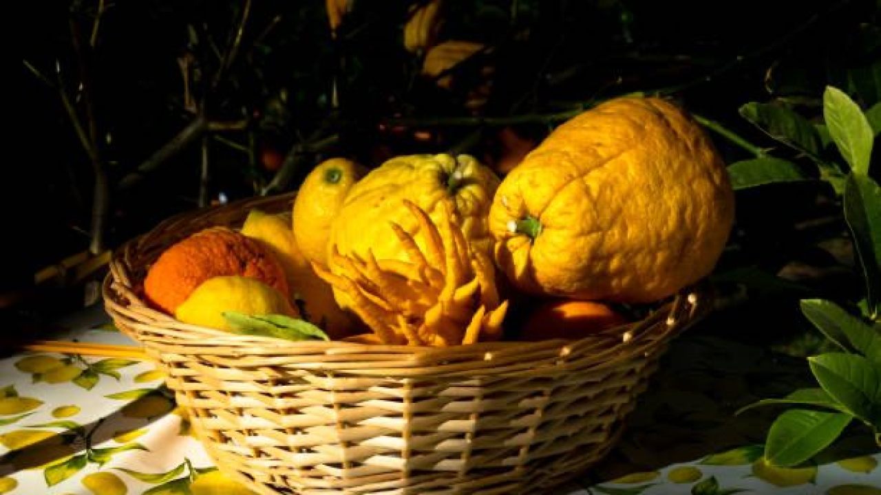 Limone e cedro: tutte le differenze