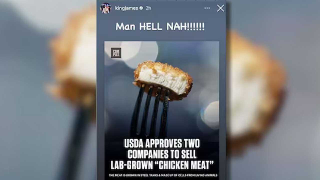 LeBron James si schiera contro la carne coltivata LeBron James si schiera contro la carne coltivata