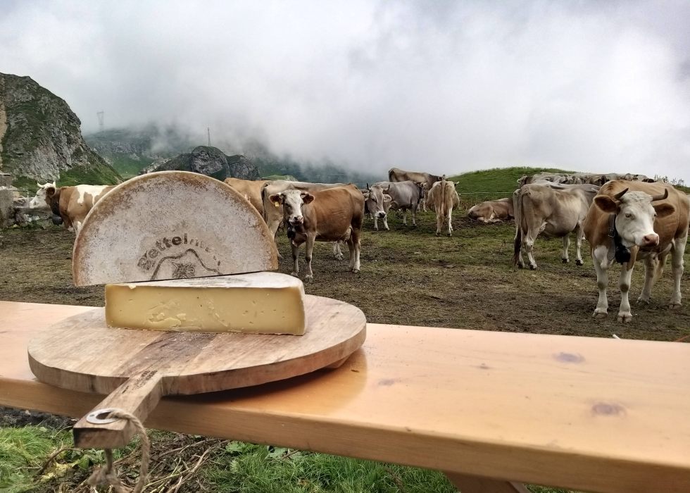 Cosa e dove mangiare in Val d'Ossola, da Domodossola a Riale