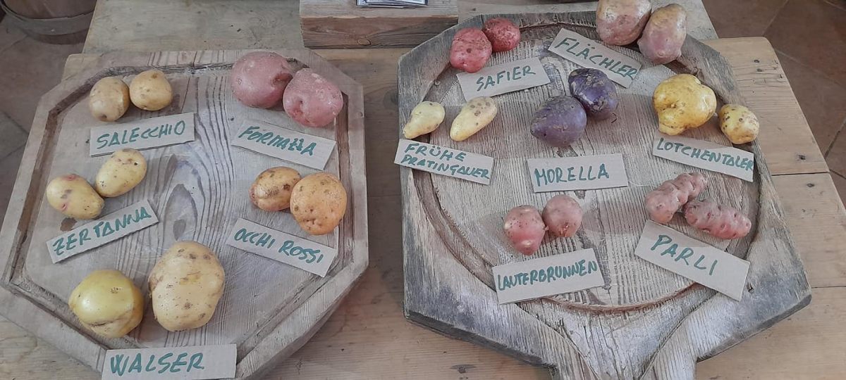 Cosa e dove mangiare in Val d'Ossola, da Domodossola a Riale