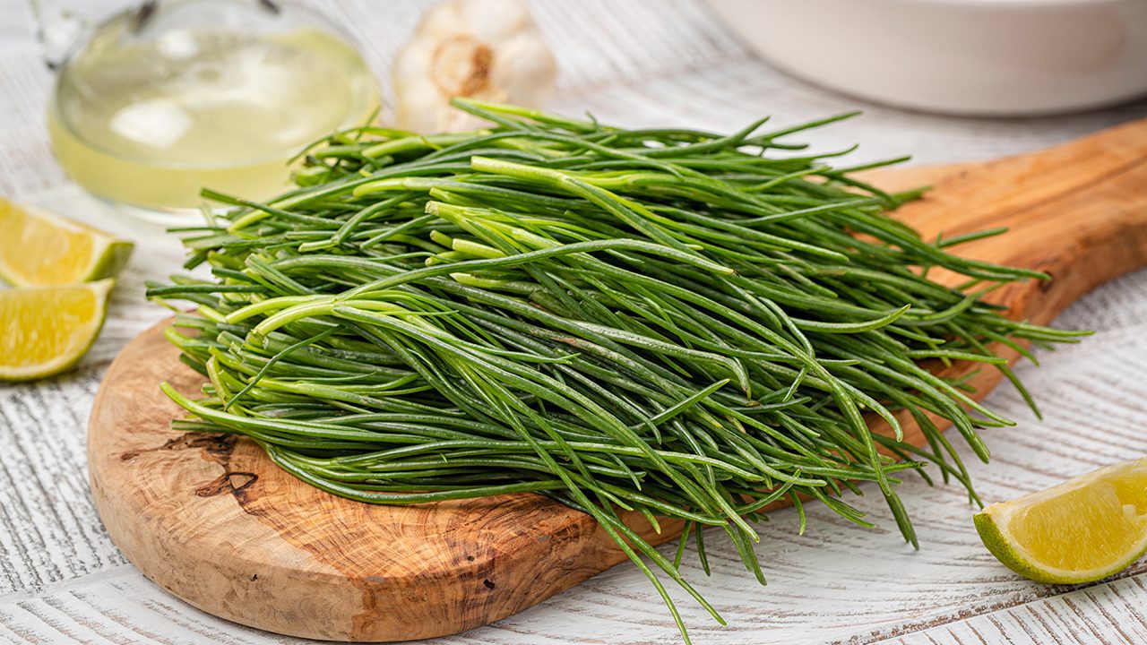 Come cucinare gli agretti, le proprietà e alcune ricette