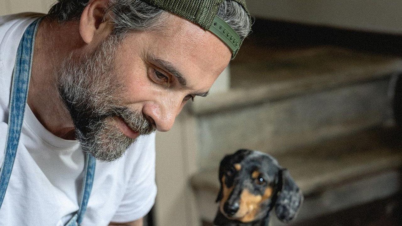 Il primo libro di Luca Calvani è un "viaggio nella cucina vegetariana"